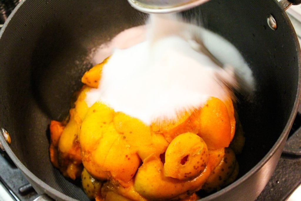 Apricot Butter - Wyse Guide