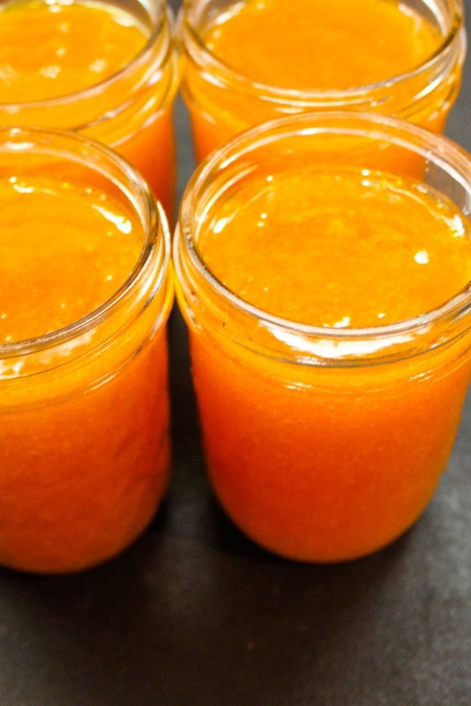 Apricot Butter Recipe - Wyse Guide
