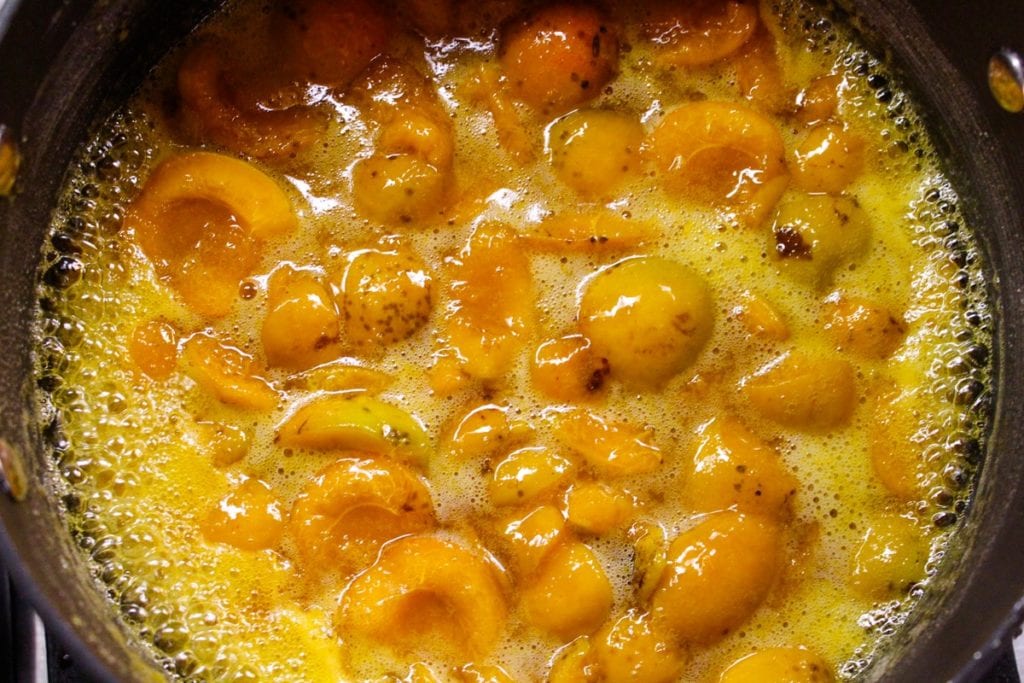 Apricot Butter - Wyse Guide