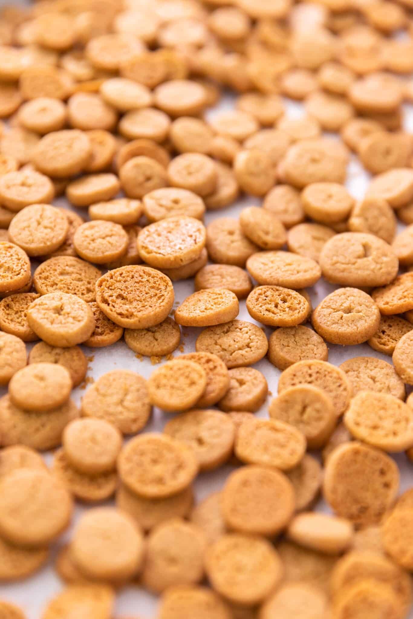 Peppernuts - Wyse Guide