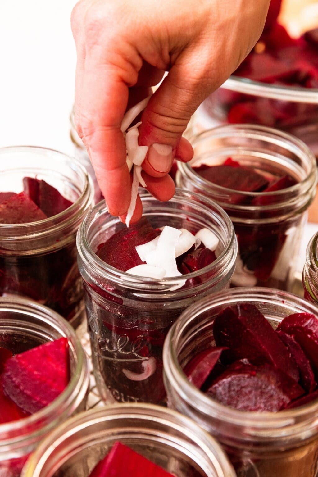 Canned Pickled Beets (Recipe + Video) - Wyse Guide
