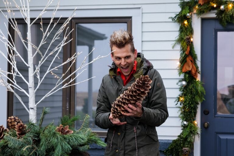 My Outdoor Christmas Decor This Year - Wyse Guide