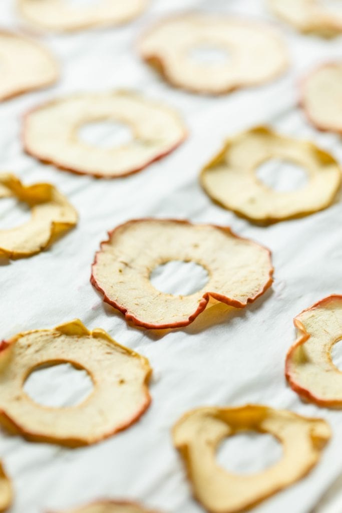 Homemade Apple Chips - Wyse Guide