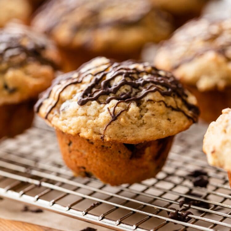 Chocolate Chunk Muffins - Wyse Guide