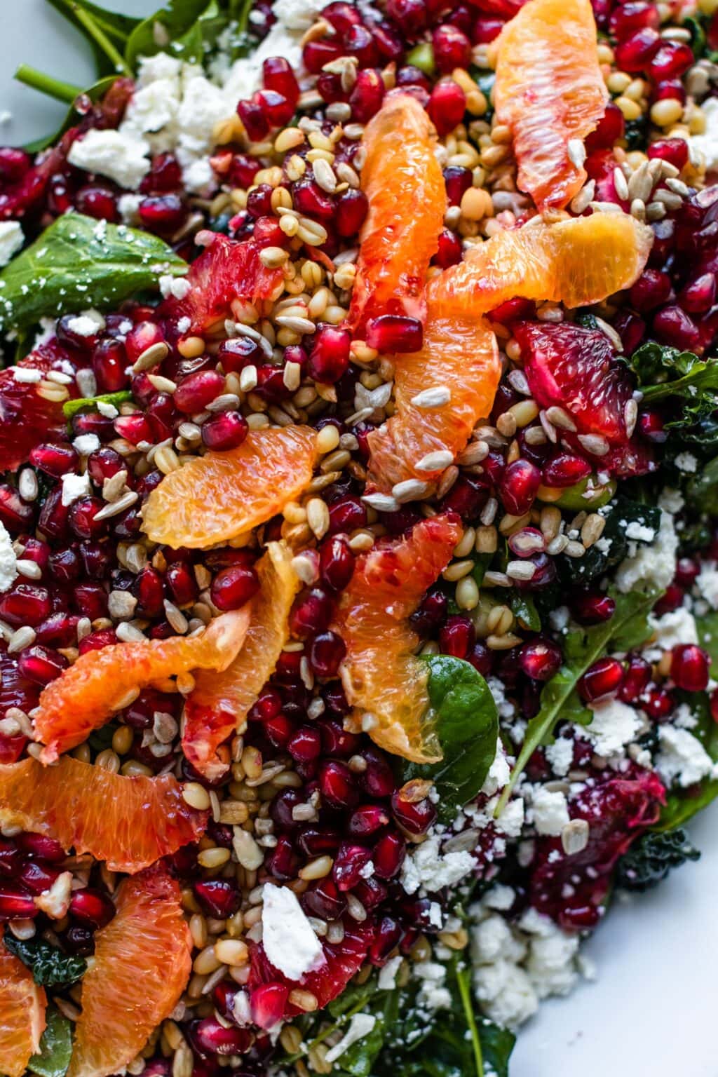 Blood Orange & Wheat Berry Salad - Wyse Guide