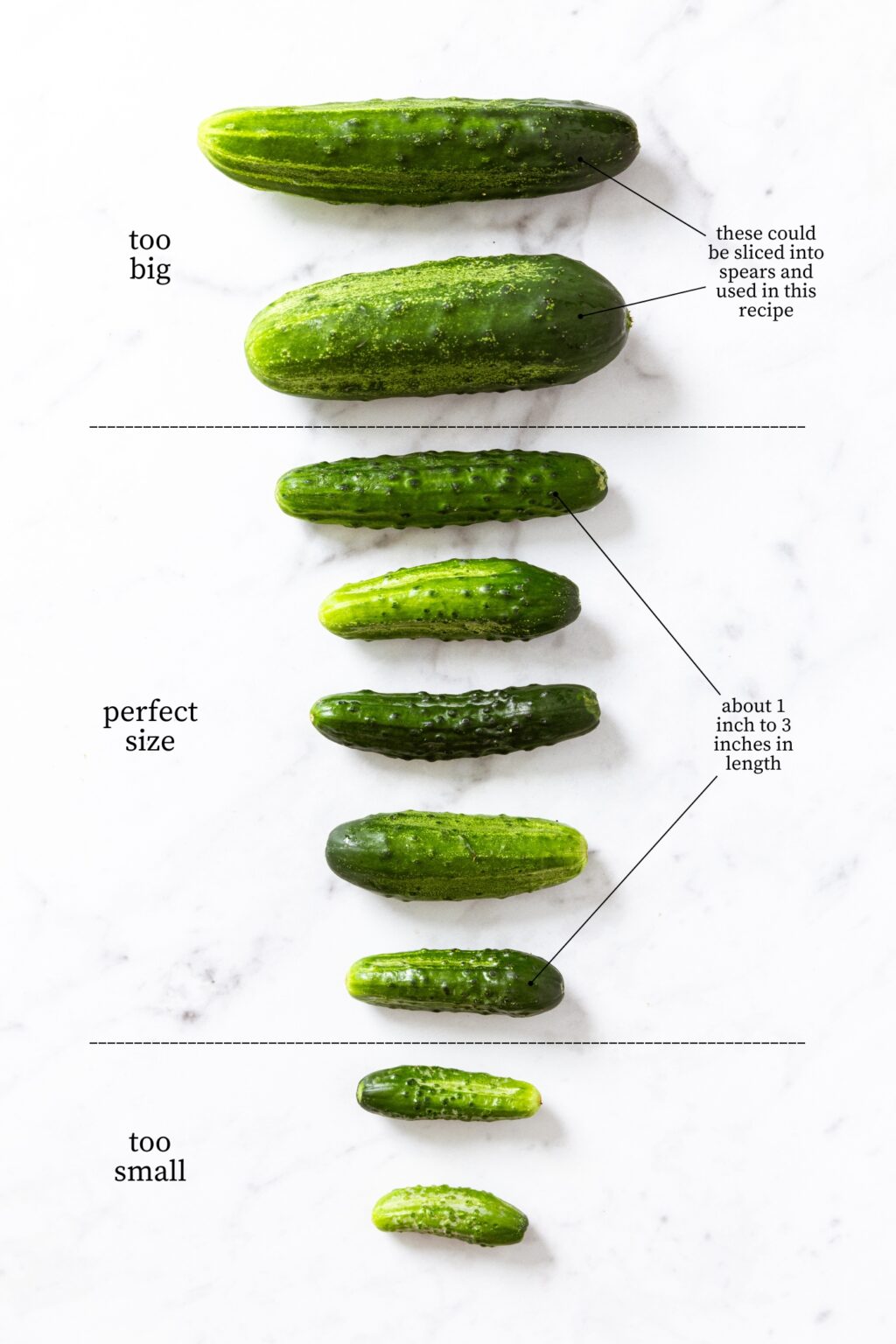How to Make Mustard Pickles (Recipe + Video) - Wyse Guide
