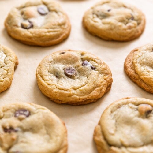 After Dinner Mint Cookies - Wyse Guide