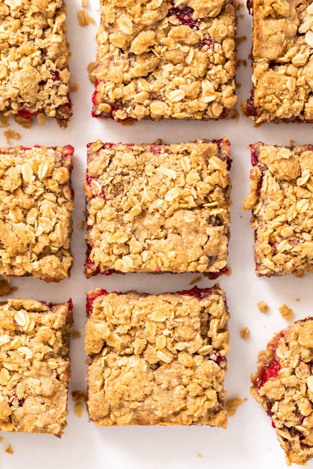 Raspberry Crumb Bars - Wyse Guide