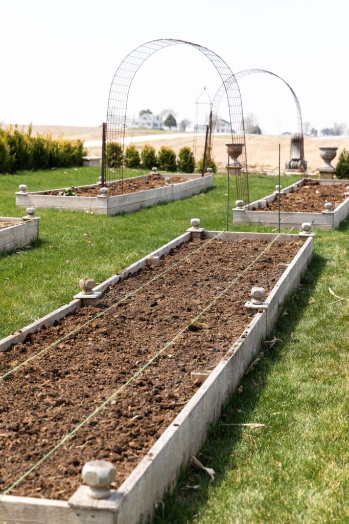 How to Plant Seedlings in the Garden - Wyse Guide