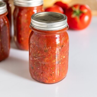Canned Homemade Salsa (Recipe + Video) - Wyse Guide