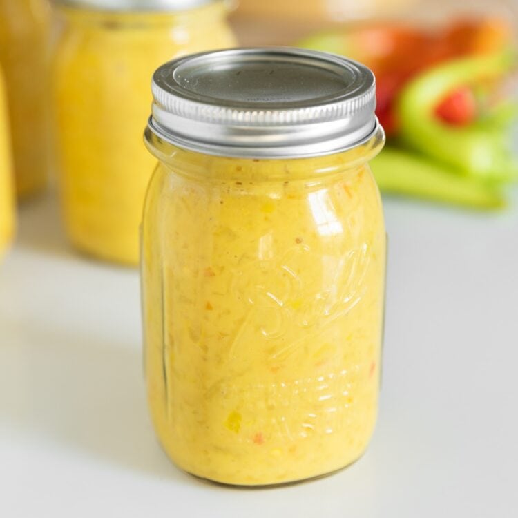 How to Can Blueberry Jam - Wyse Guide