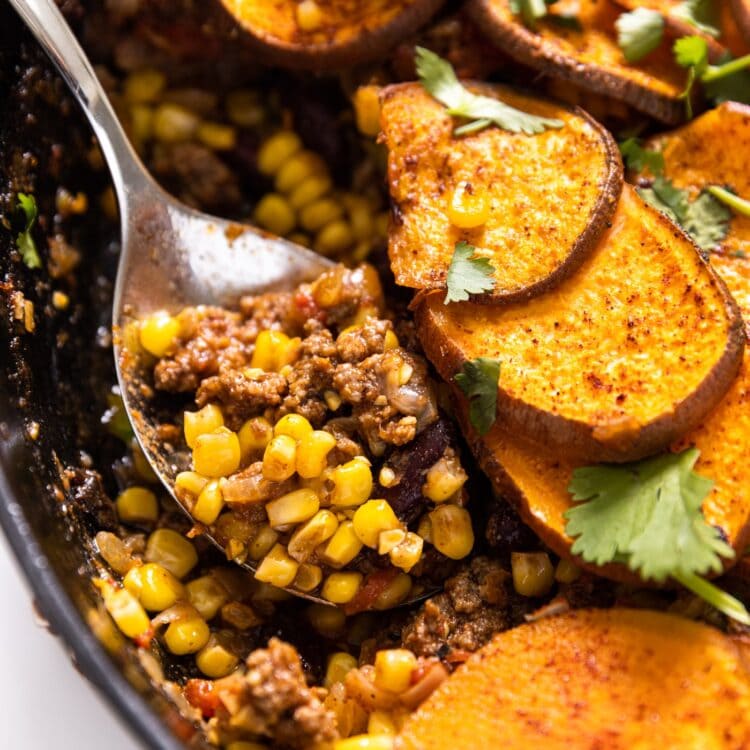 Chipotle Sweet Potato Taco Bake - Wyse Guide