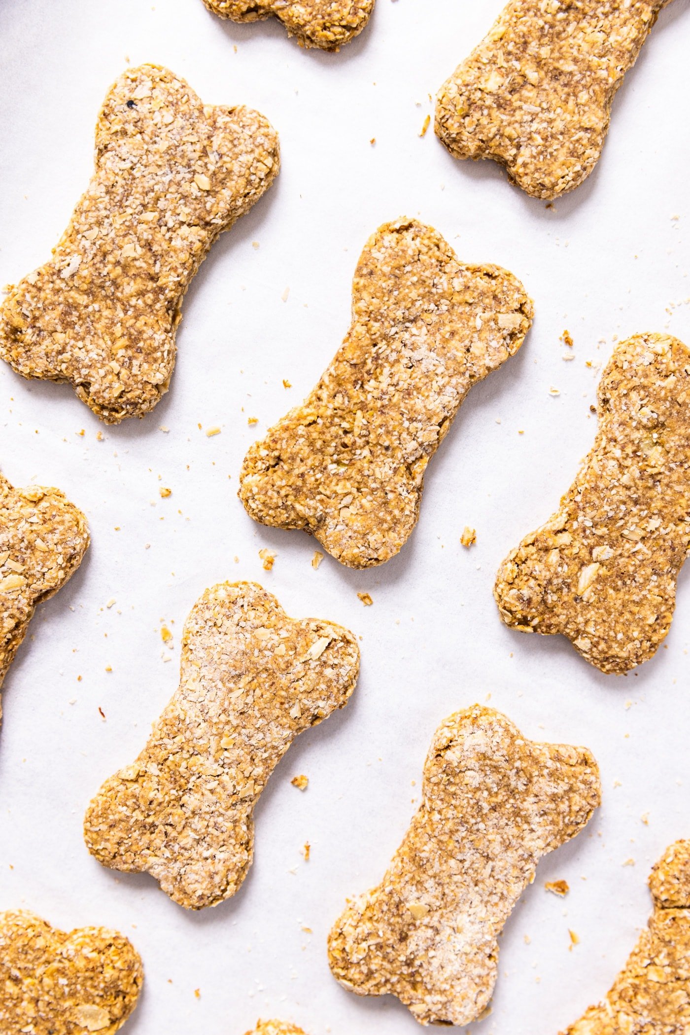 Kip's Peanut Butter Dog Biscuits Recipe - Wyse Guide