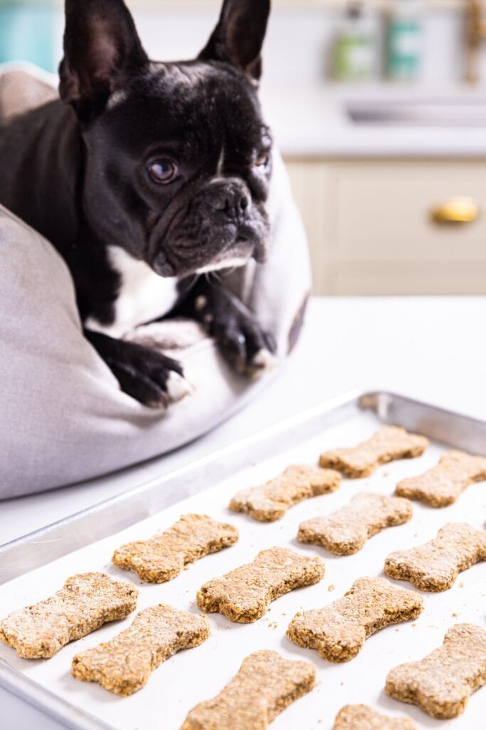 Kip's Peanut Butter Dog Biscuits Recipe - Wyse Guide