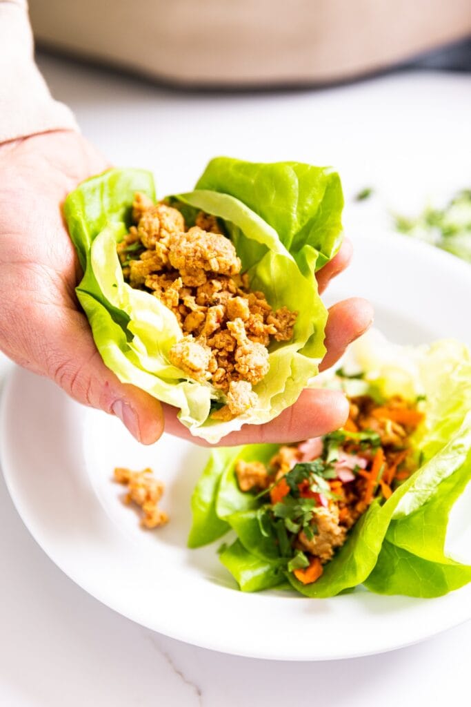 Korean-Style Chicken Lettuce Cups Recipe - Wyse Guide