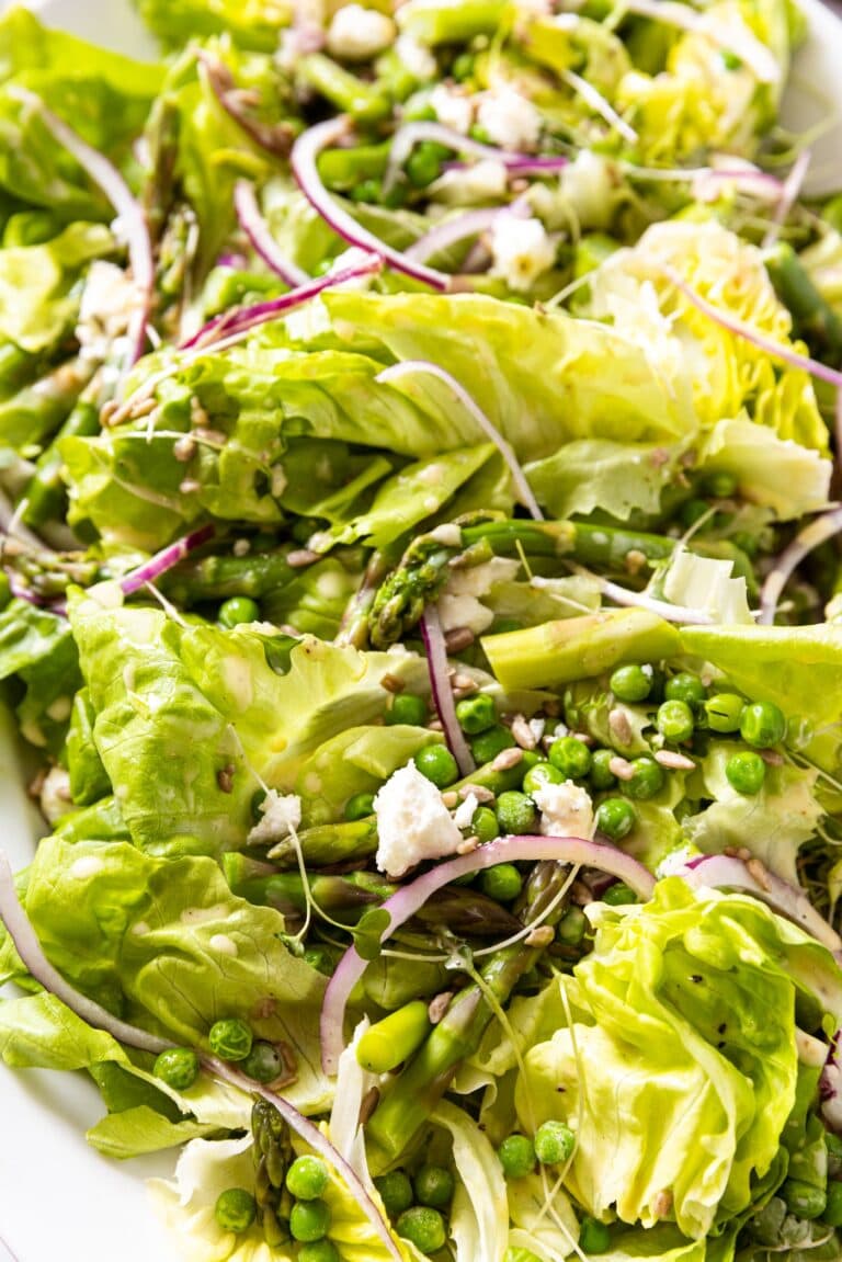 Asparagus Spring Salad - Wyse Guide
