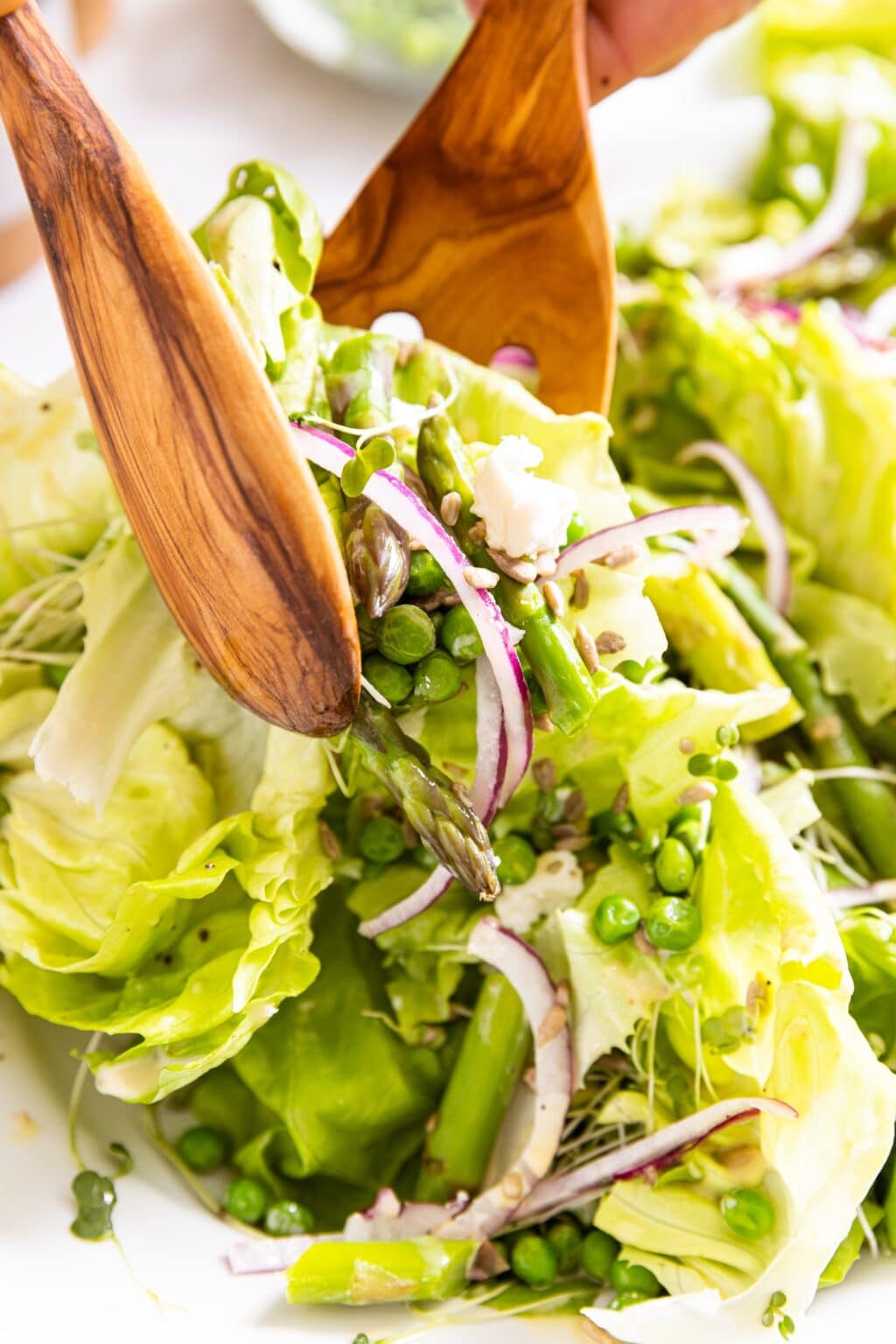 Asparagus Spring Salad - Wyse Guide