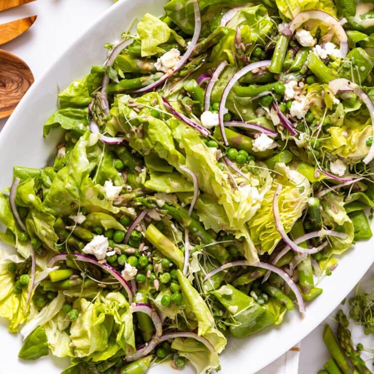 Asparagus Spring Salad - Wyse Guide
