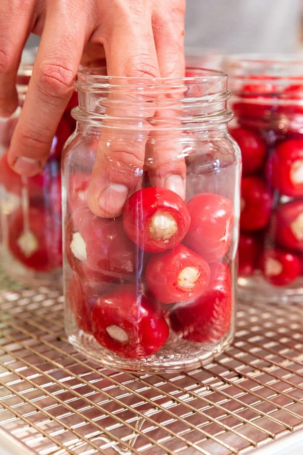 How to Can Stuffed Pickled Peppers Recipe (With Video) - Wyse Guide