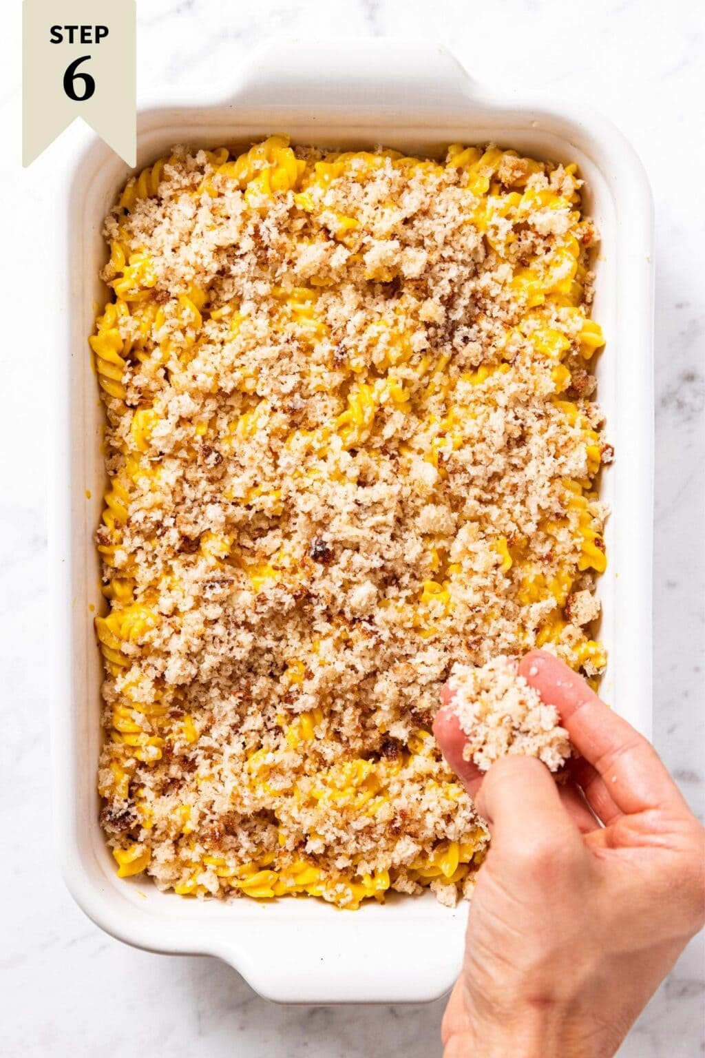 Sungold Tomato Pasta Bake - Wyse Guide