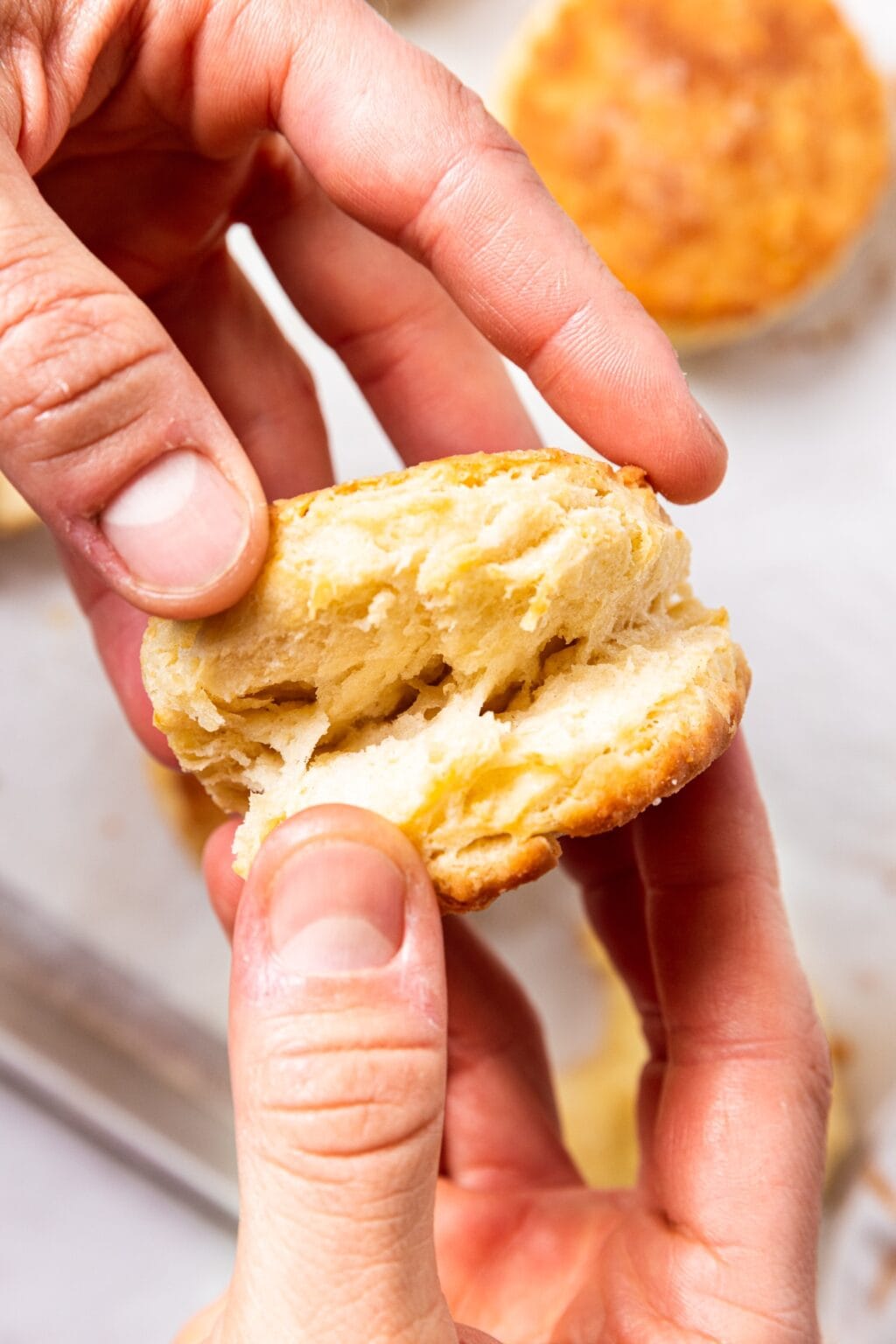Best Buttermilk Biscuits Recipe - Wyse Guide
