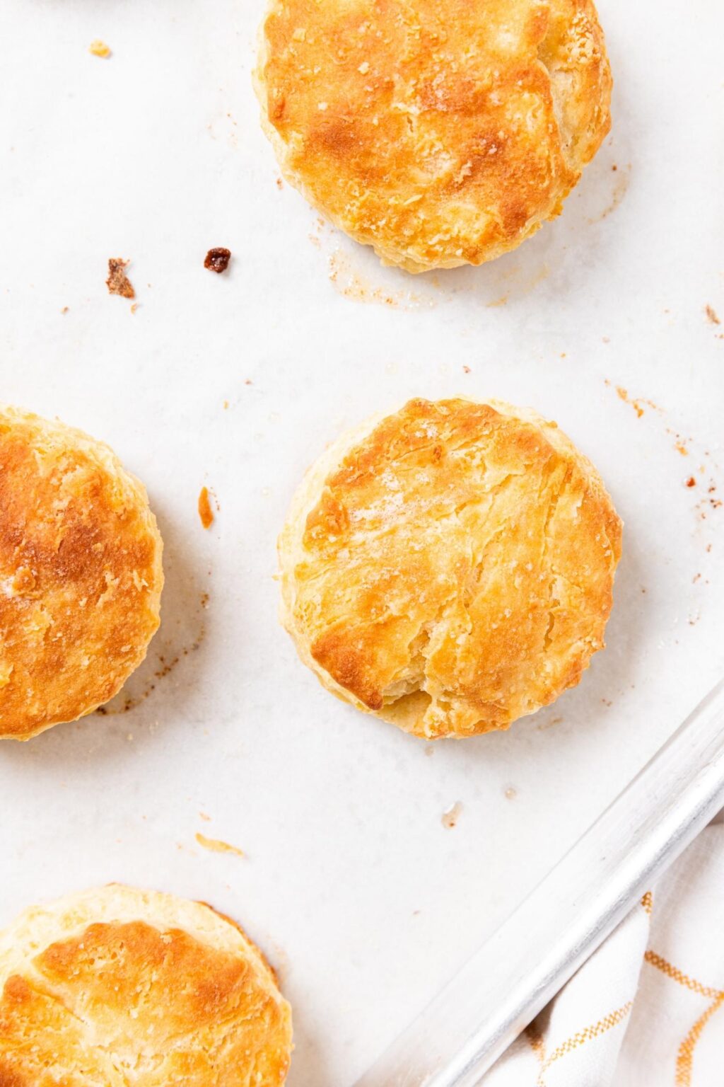 Best Buttermilk Biscuits Recipe - Wyse Guide