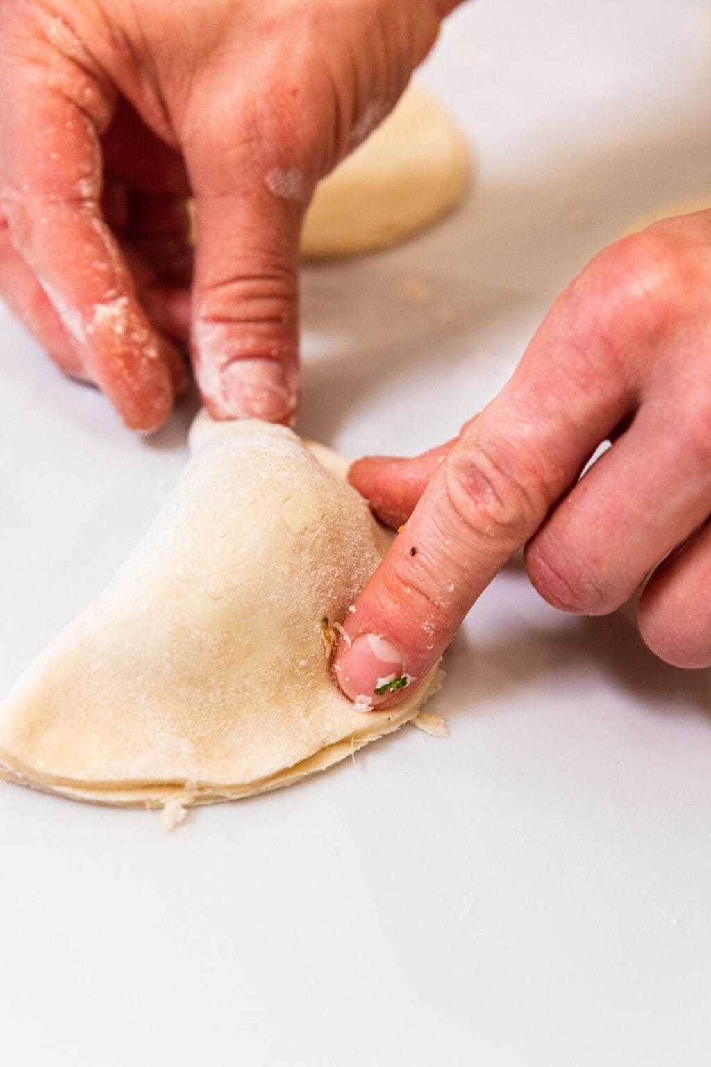Savory Squash Hand Pies Recipe - Wyse Guide