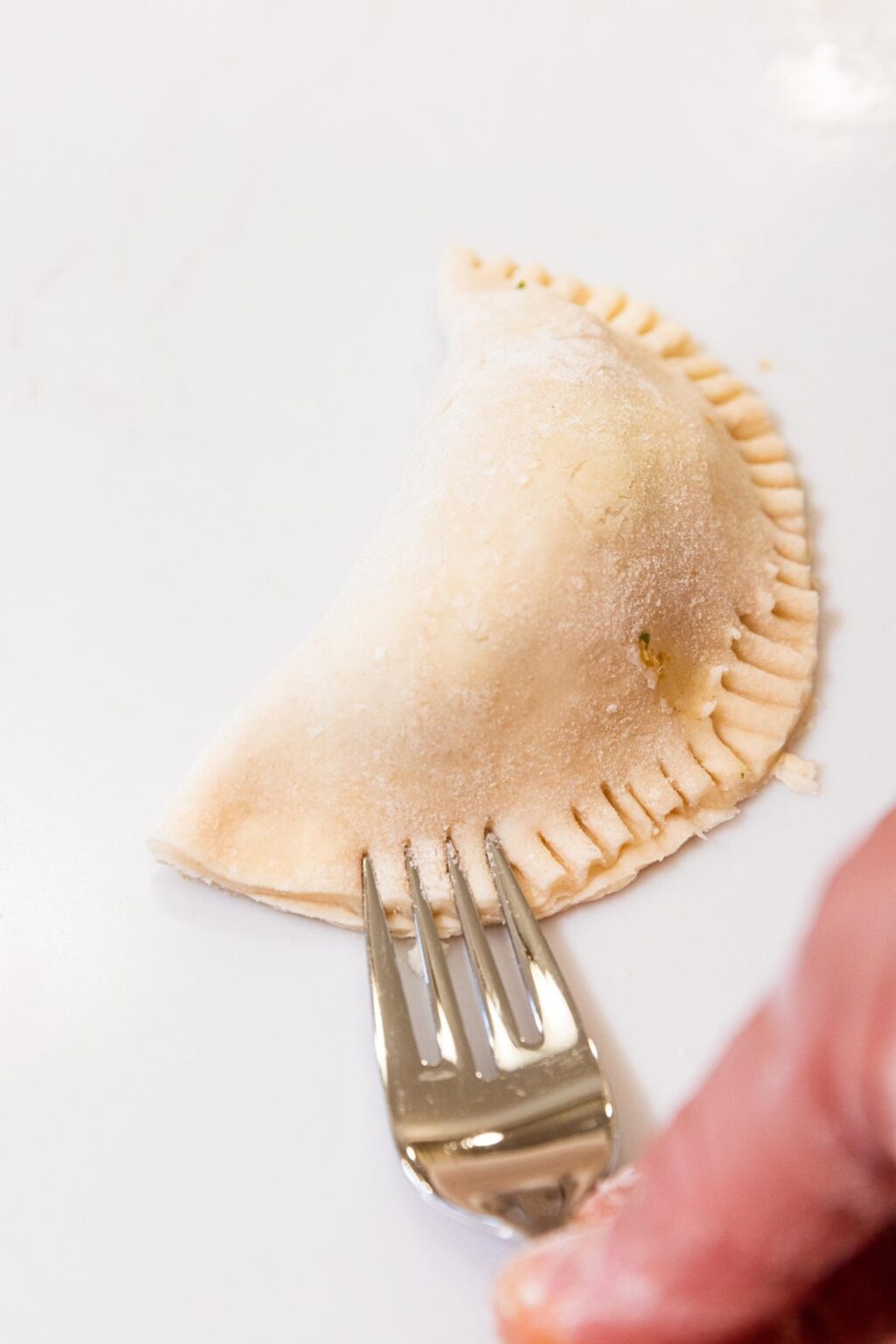 Savory Squash Hand Pies Recipe - Wyse Guide