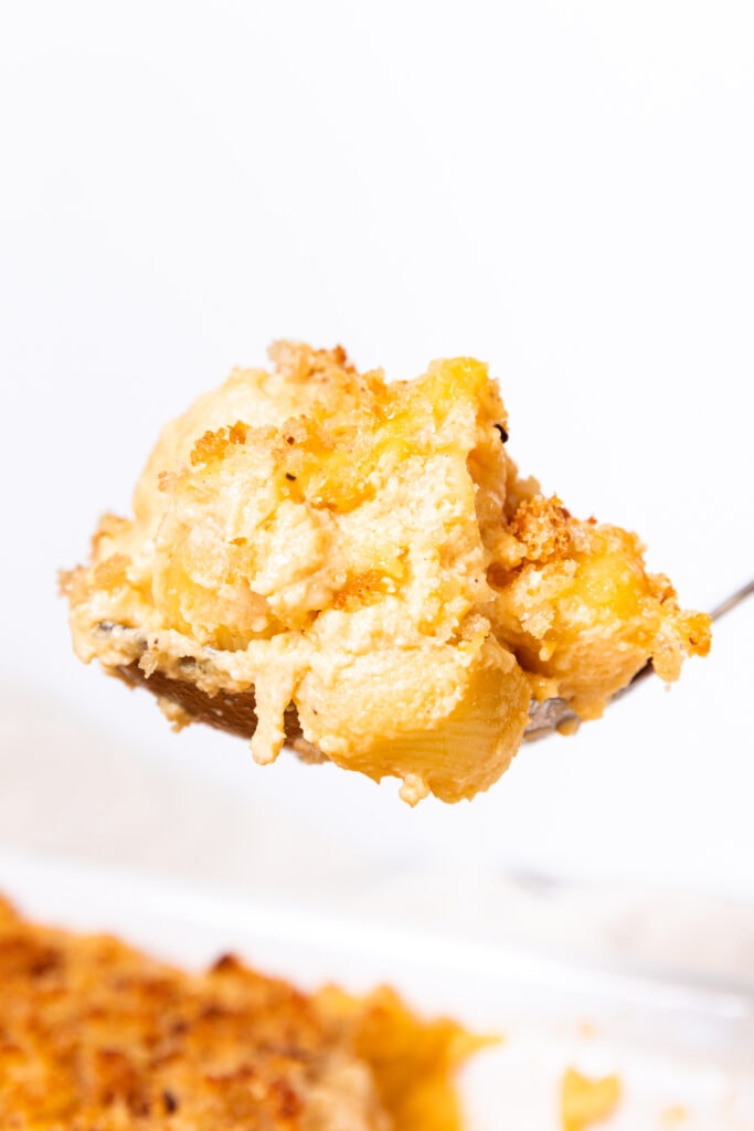 Baked Macaroni & Cheese Recipe (4 Cheeses!) - Wyse Guide