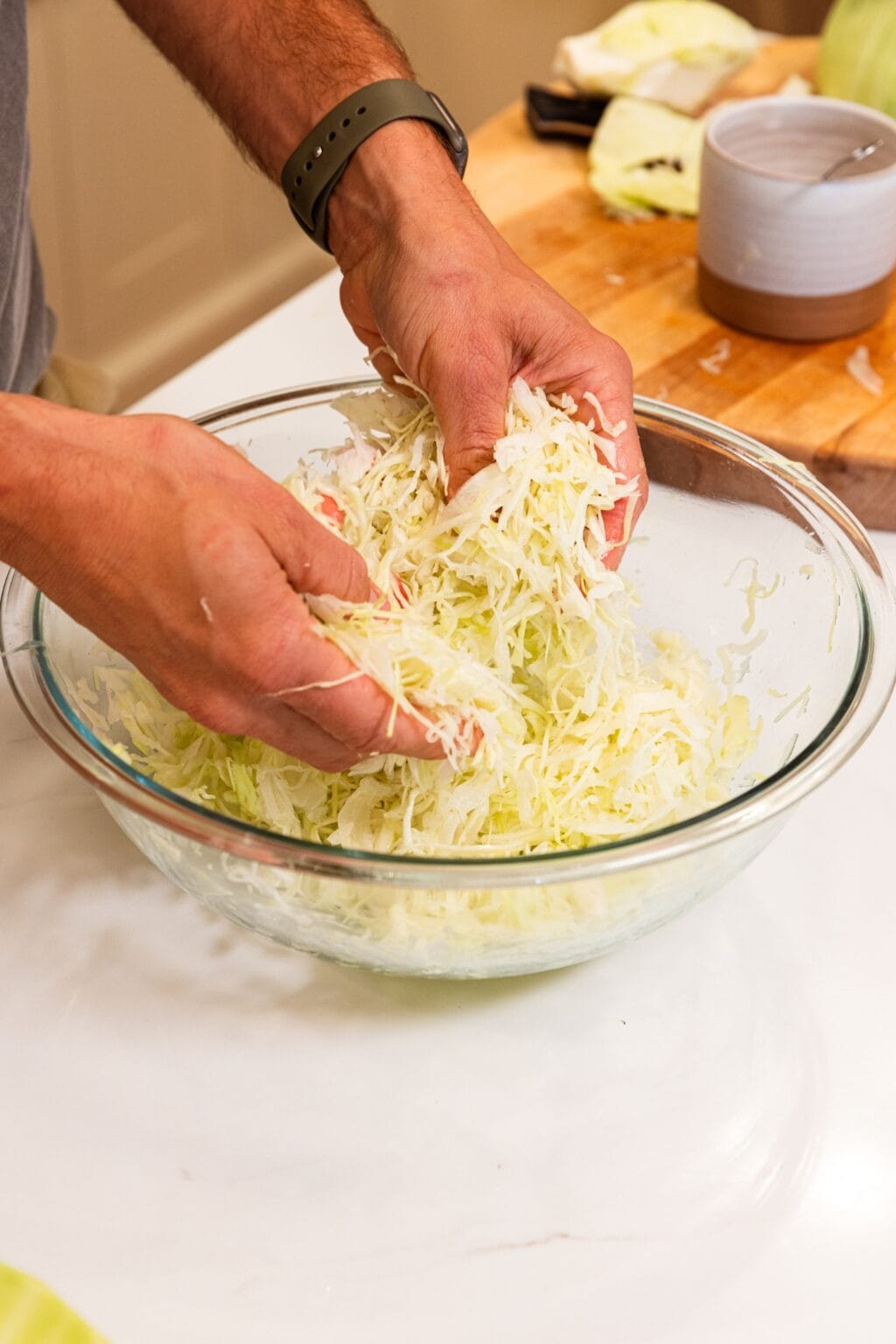 Homemade Sauerkraut (Easy Fermented Cabbage Recipe) - Wyse Guide