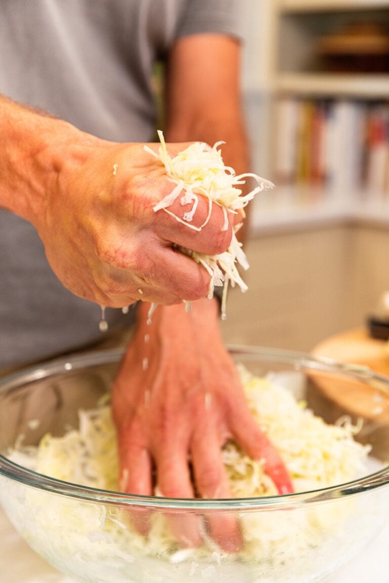 Homemade Sauerkraut (Easy Fermented Cabbage Recipe) - Wyse Guide