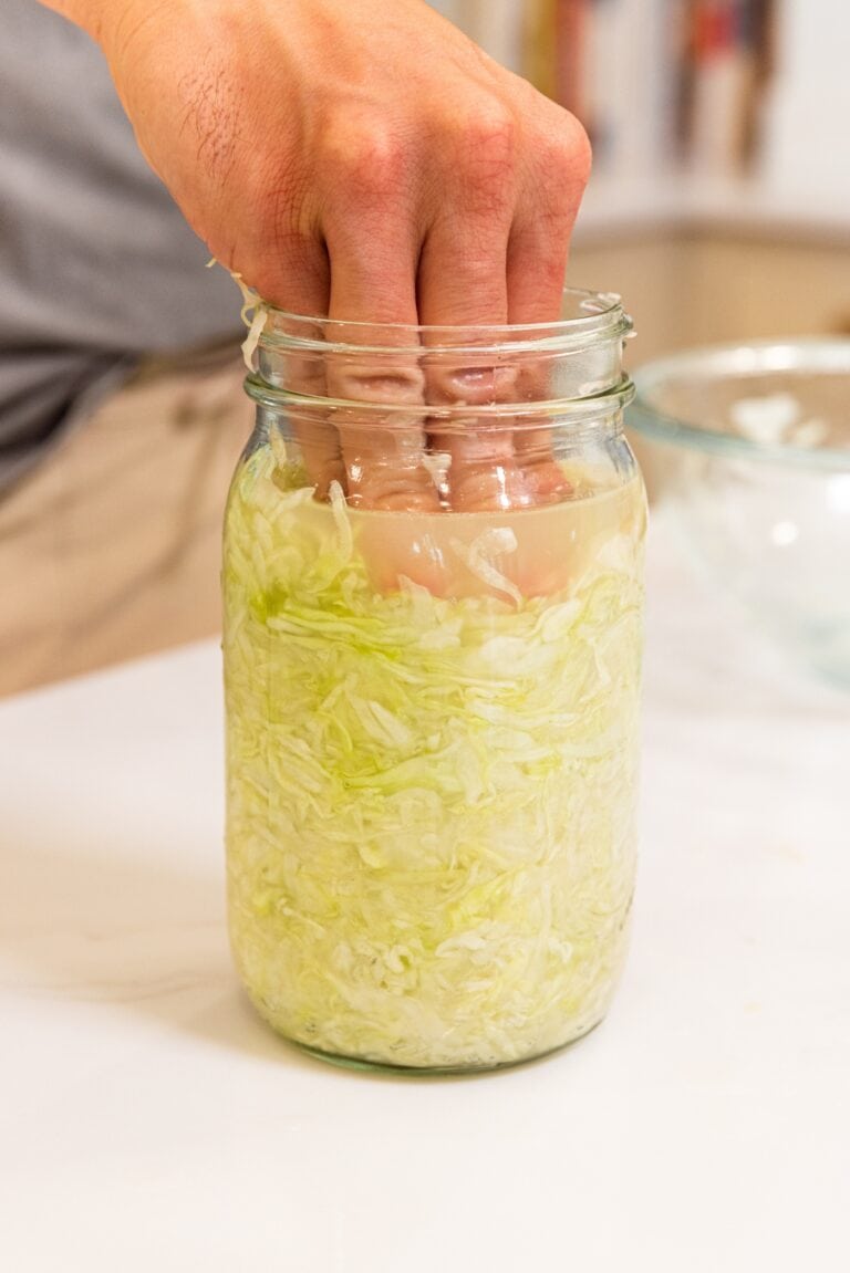 Homemade Sauerkraut (Easy Fermented Cabbage Recipe) - Wyse Guide