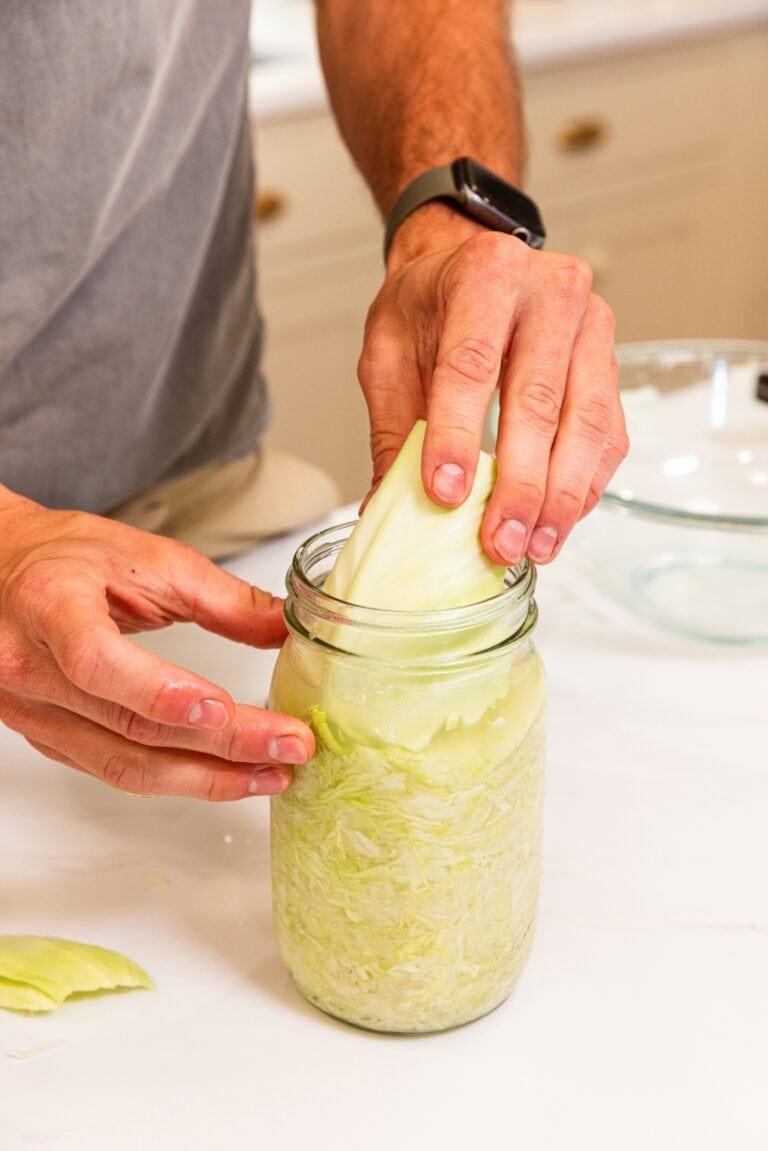 Homemade Sauerkraut (Easy Fermented Cabbage Recipe) - Wyse Guide