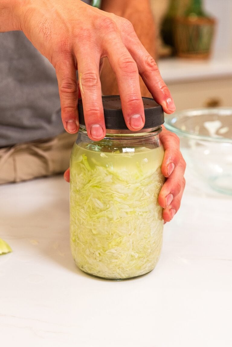 Homemade Sauerkraut (Easy Fermented Cabbage Recipe) - Wyse Guide