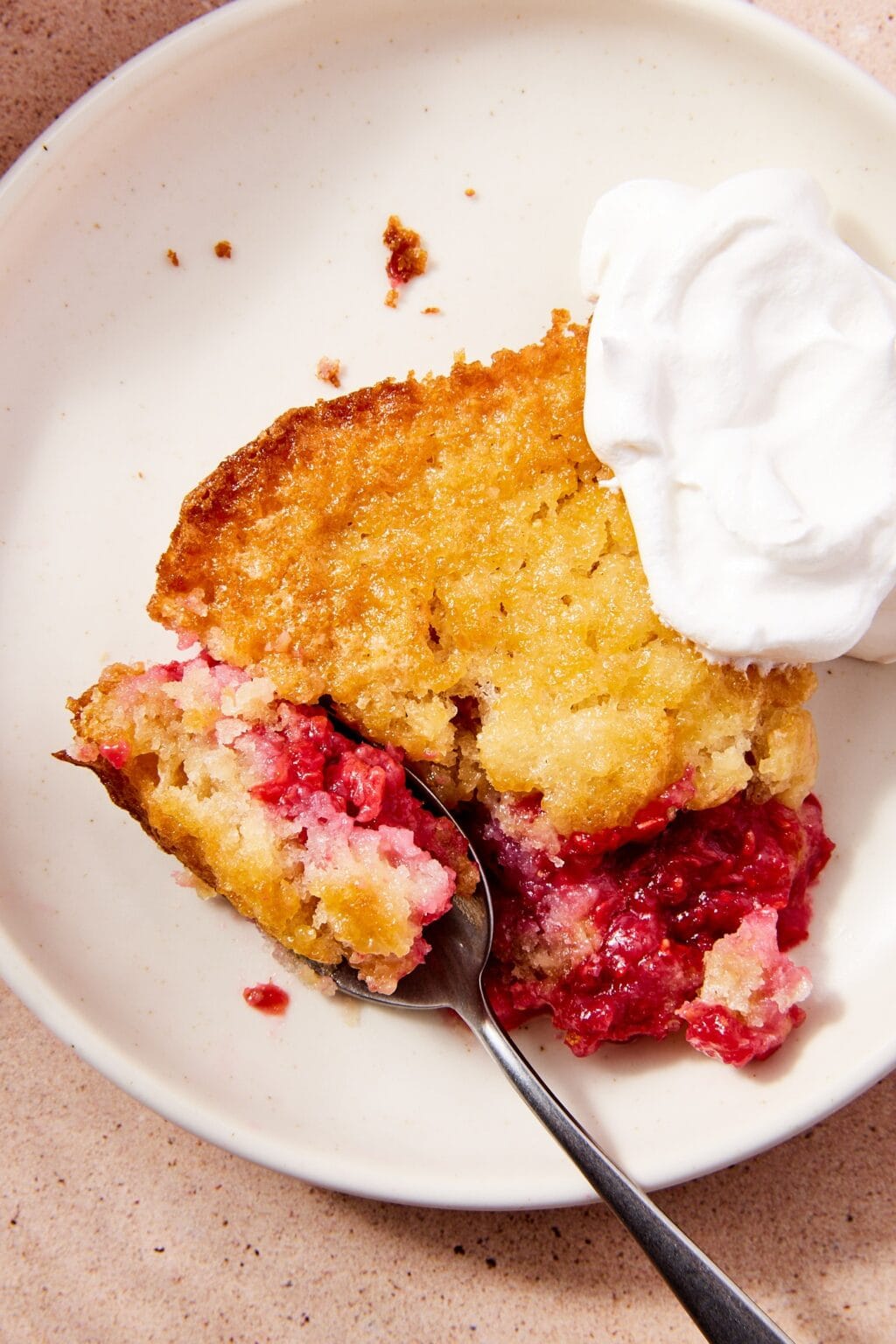 Raspberry Cobbler Recipe - Wyse Guide