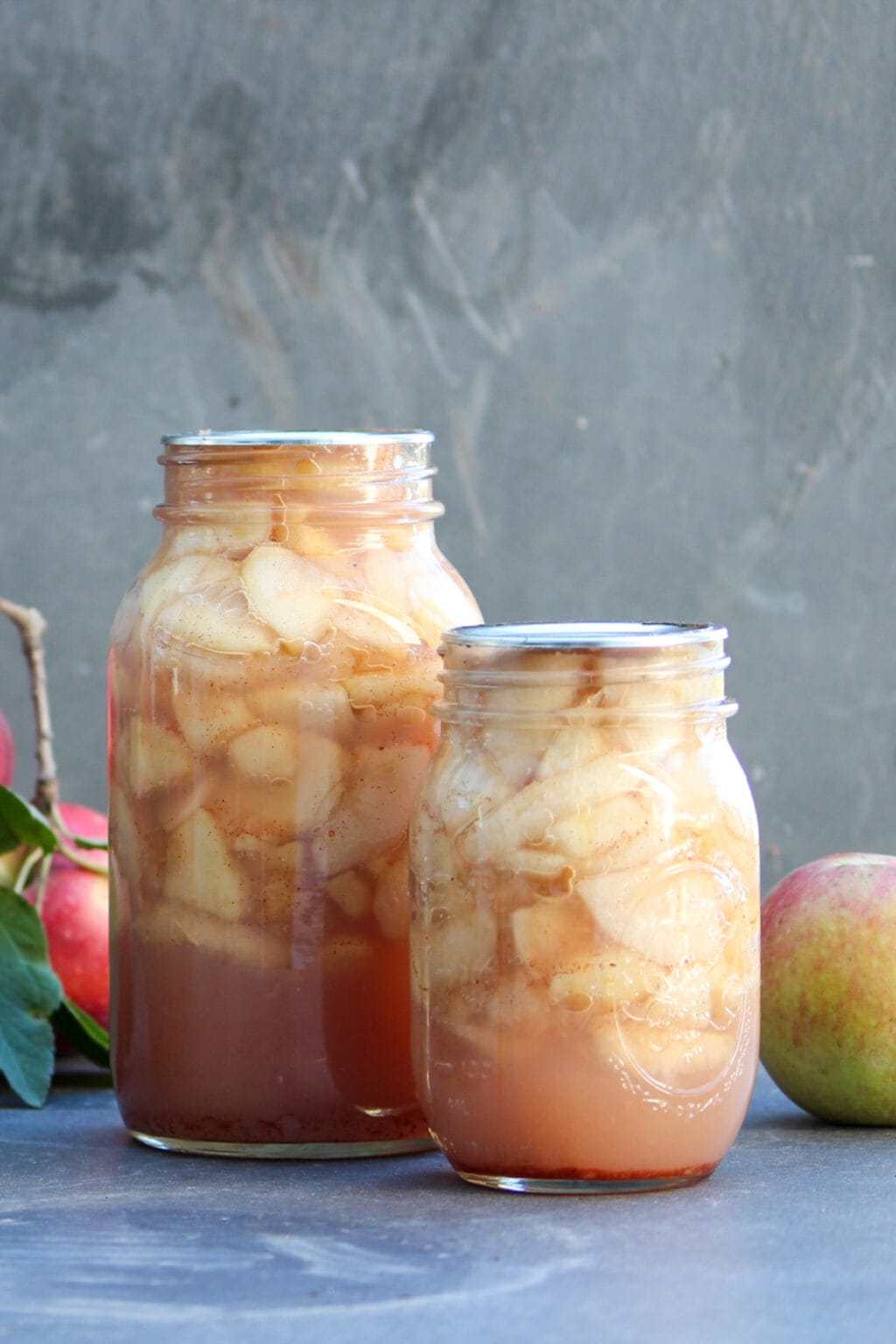 Canned Apples Recipe - Wyse Guide