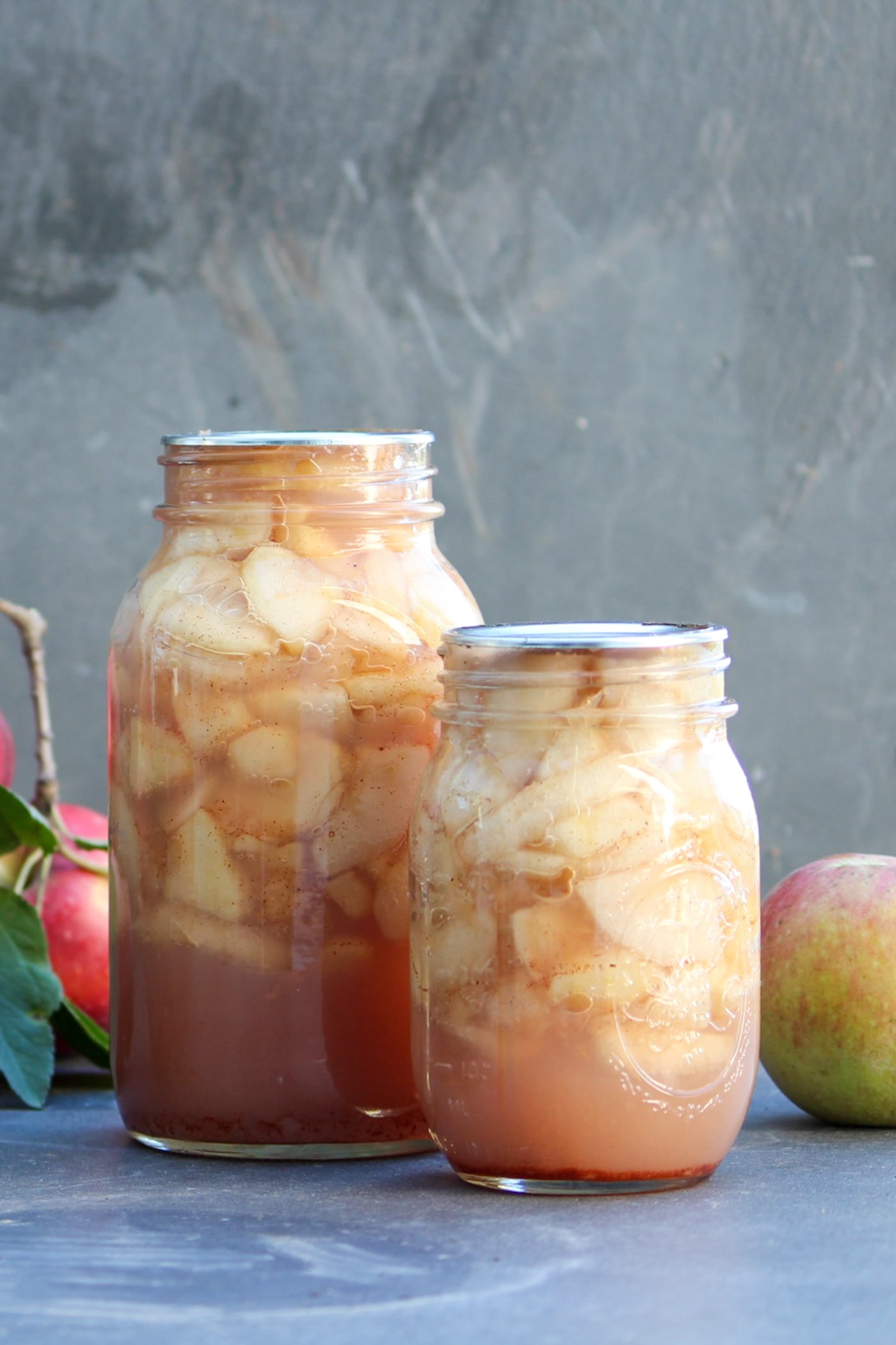 Canned Apples Recipe - Wyse Guide