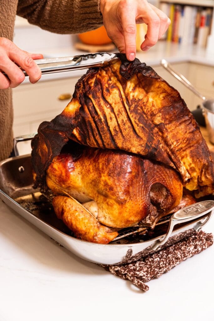 Orange Spiced Turkey Recipe - Wyse Guide