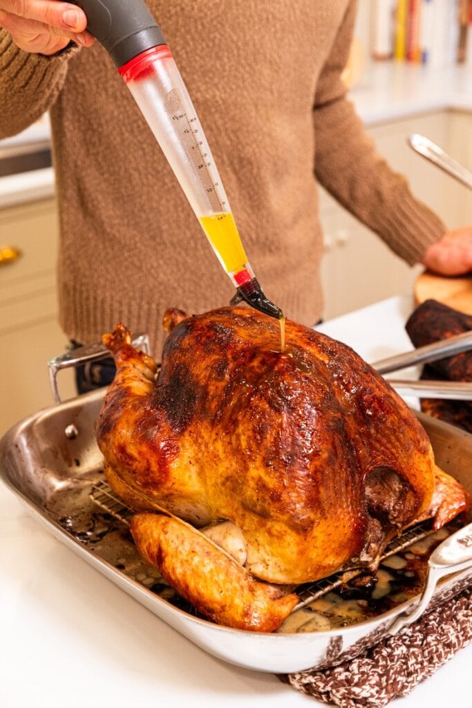 Orange Spiced Turkey Recipe - Wyse Guide