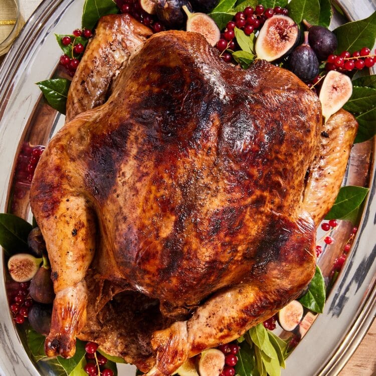 Orange Spiced Turkey - Wyse Guide