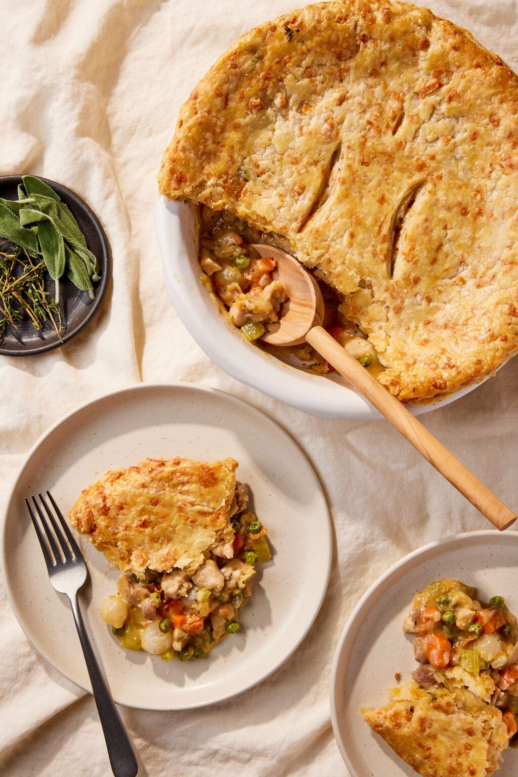 Chicken Pot Pie with Cheddar Crust - Wyse Guide