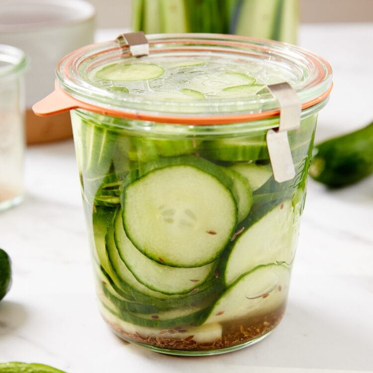 How to Can Spicy Dill Pickles (Recipe + Video) - Wyse Guide