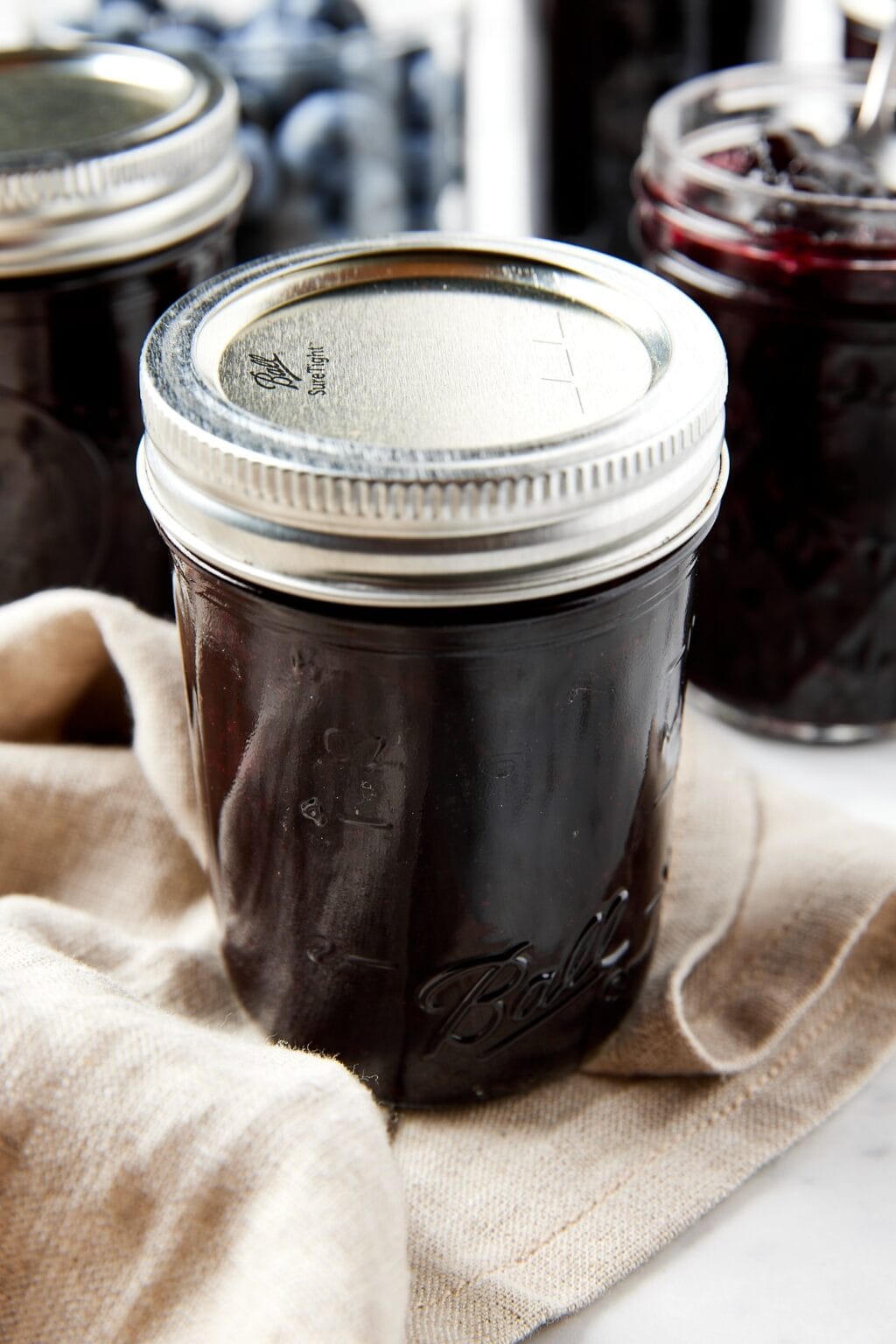Blueberry Jam Recipe (Pectin Method) + Video - Wyse Guide