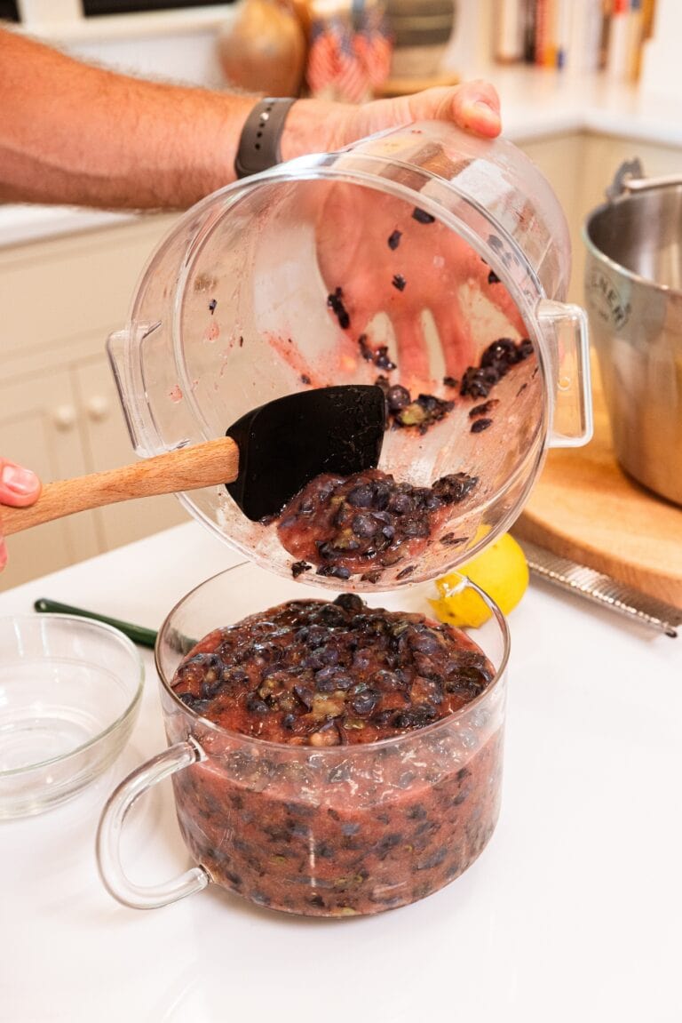 Blueberry Jam Recipe (Pectin Method) + Video - Wyse Guide