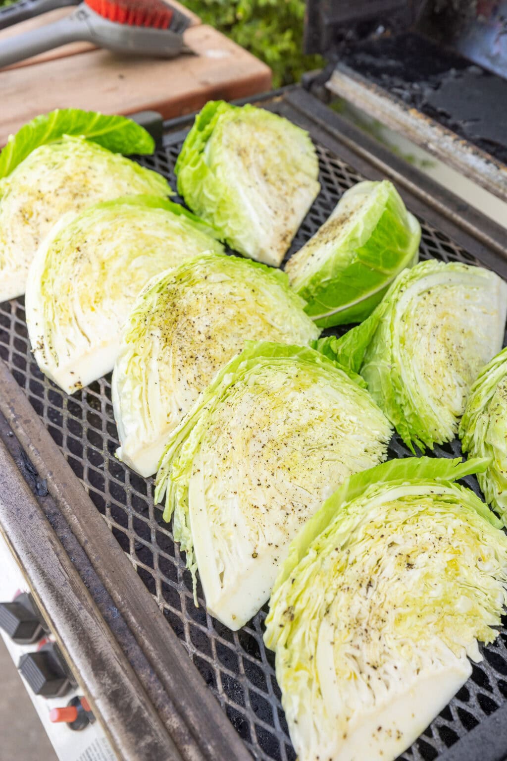 Grilled Cabbage Salad Recipe - Wyse Guide