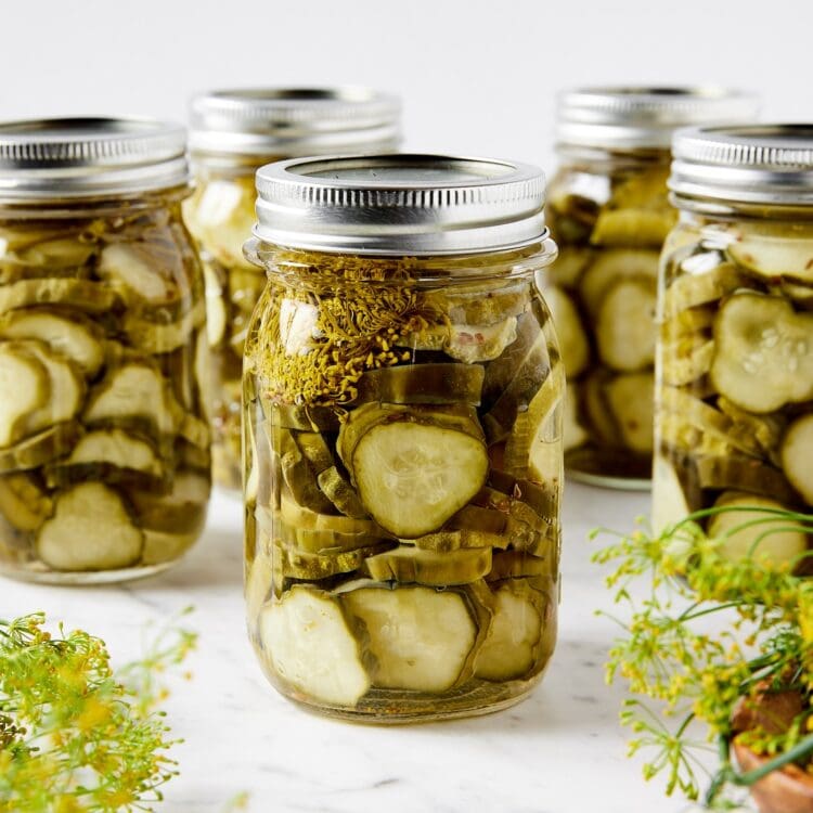 How to Can Spicy Dill Pickles (Recipe + Video) - Wyse Guide