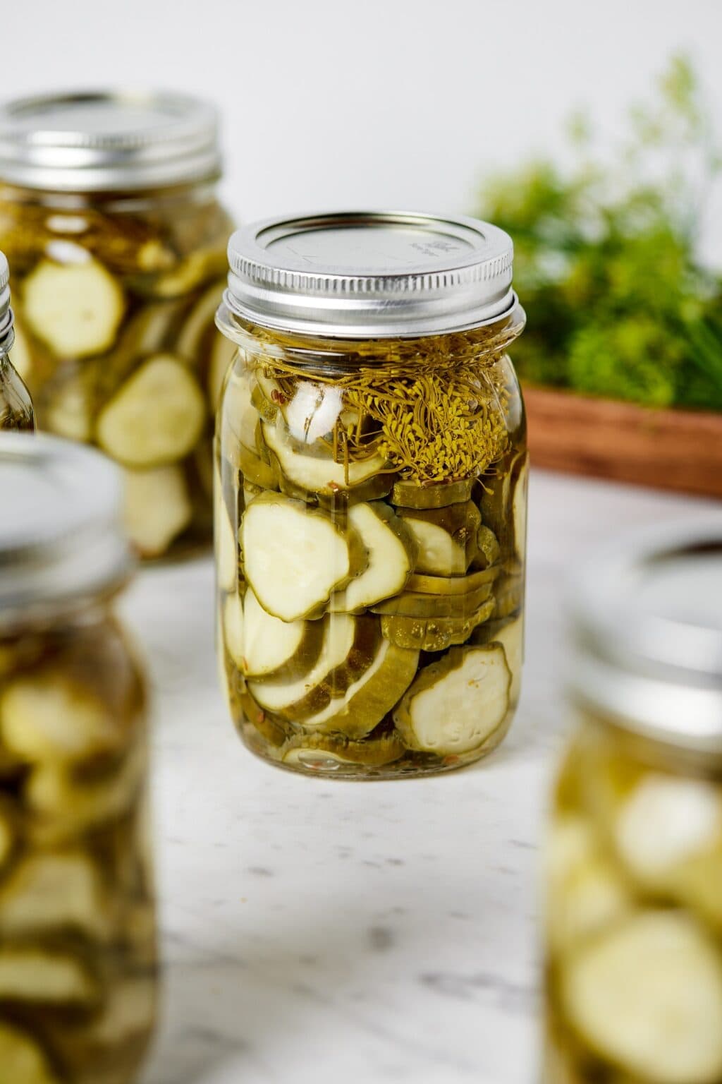 Canned Dill Pickles Recipe (With Video) - Wyse Guide
