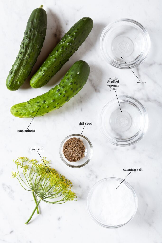Canned Dill Pickles Recipe (With Video) - Wyse Guide