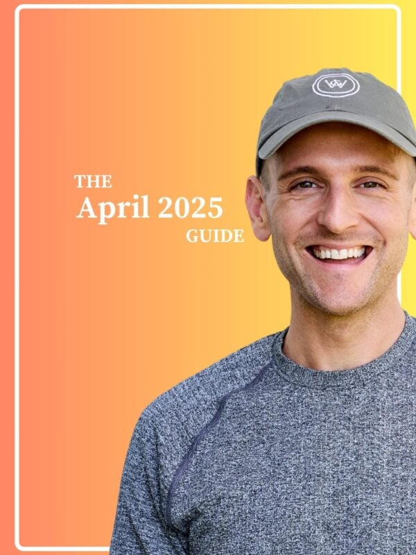 Newsletters Archives - Wyse Guide