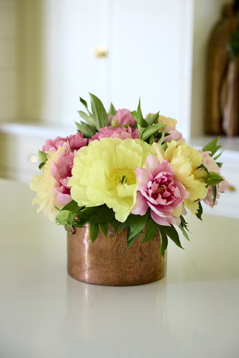 3 Types of Peonies to Grow - Wyse Guide